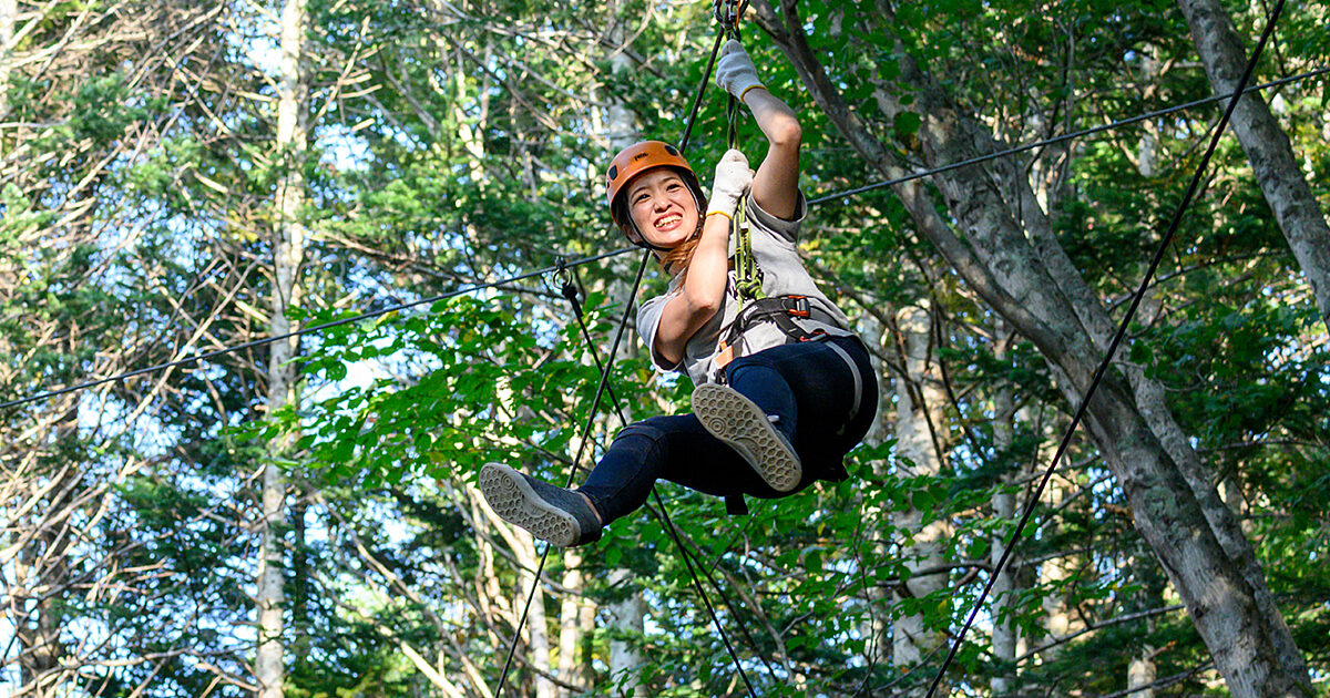 Tree Trek and Zipline